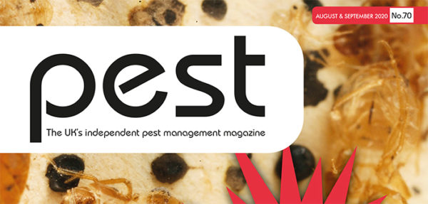 New issue of Pest magazine out now! | Pest Magazine