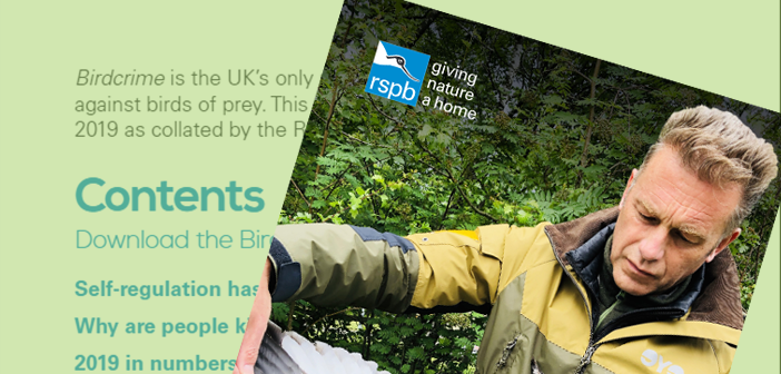 RSPB – Birdcrime Report 2019 | Pest Magazine