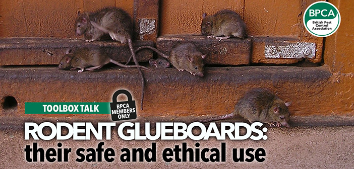 BPCA releases new rodent glueboards toolbox talk for members | Pest ...