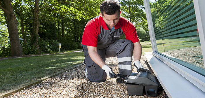 Rentokil sees an increase in reported rodent activity in Q4 2024 ...