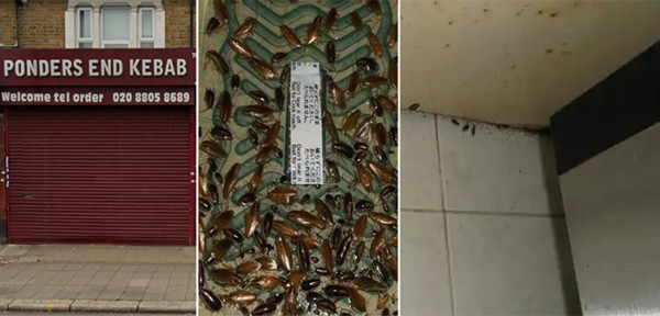 Rats and cockroach infestation lead to kebab shop prosecution | Pest ...