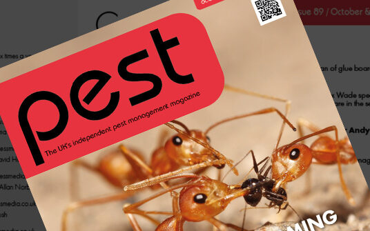 Insects News | Pest Magazine