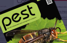 Pest control industry news | Pest magazine | Lewis Business Media