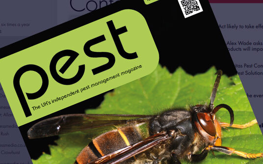 Account | Pest Magazine