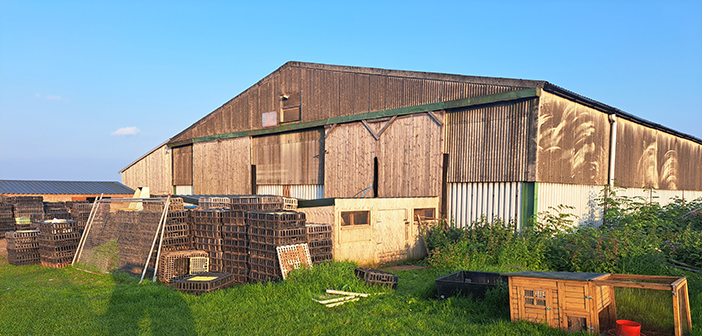 Using a covered and protected baiting method to rid a poultry farm of ...