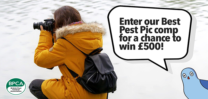 Best Pest Pic competition returns to PPC Live 2025 | Pest Magazine