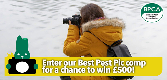 Best Pest Pic competition is back for PPC Live 2025 | Pest Magazine