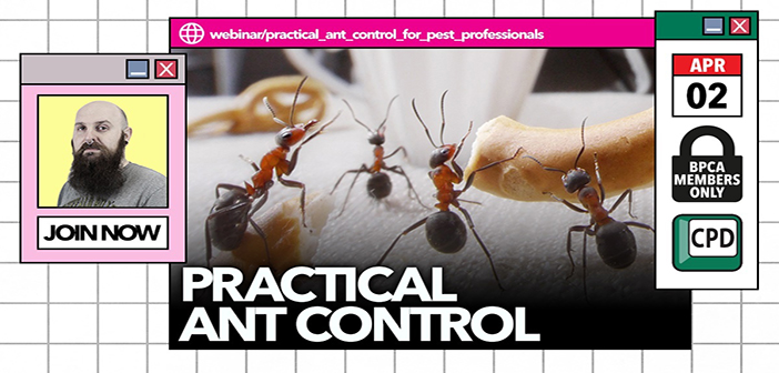 BPCA to host webinar on practical ant control for pest professionals ...