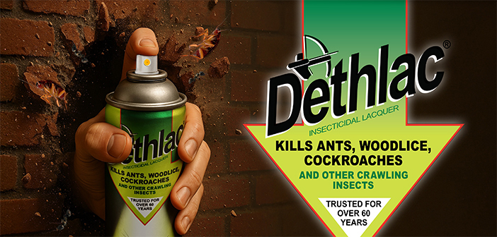 Dethlac is back! | Pest Magazine