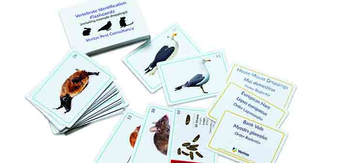 Veritas launches new Vertebrate Identification flashcards | Pest Magazine