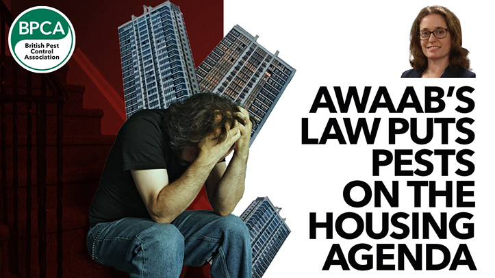 BPCA highlights pest control role in new Awaab’s Law duties | Pest Magazine