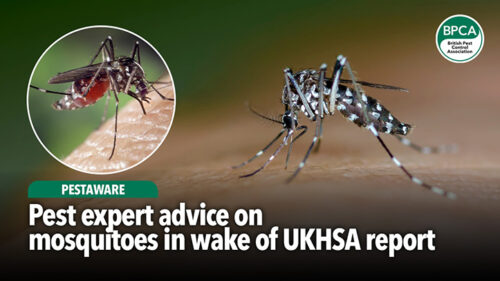 BPCA issues public advice on mosquitoes following UKHSA report | Pest ...