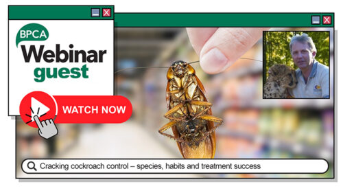 BPCA cockroach control guest webinar now available to watch | Pest Magazine