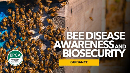 BPCA publishes free guidance on bee disease awareness and biosecurity ...